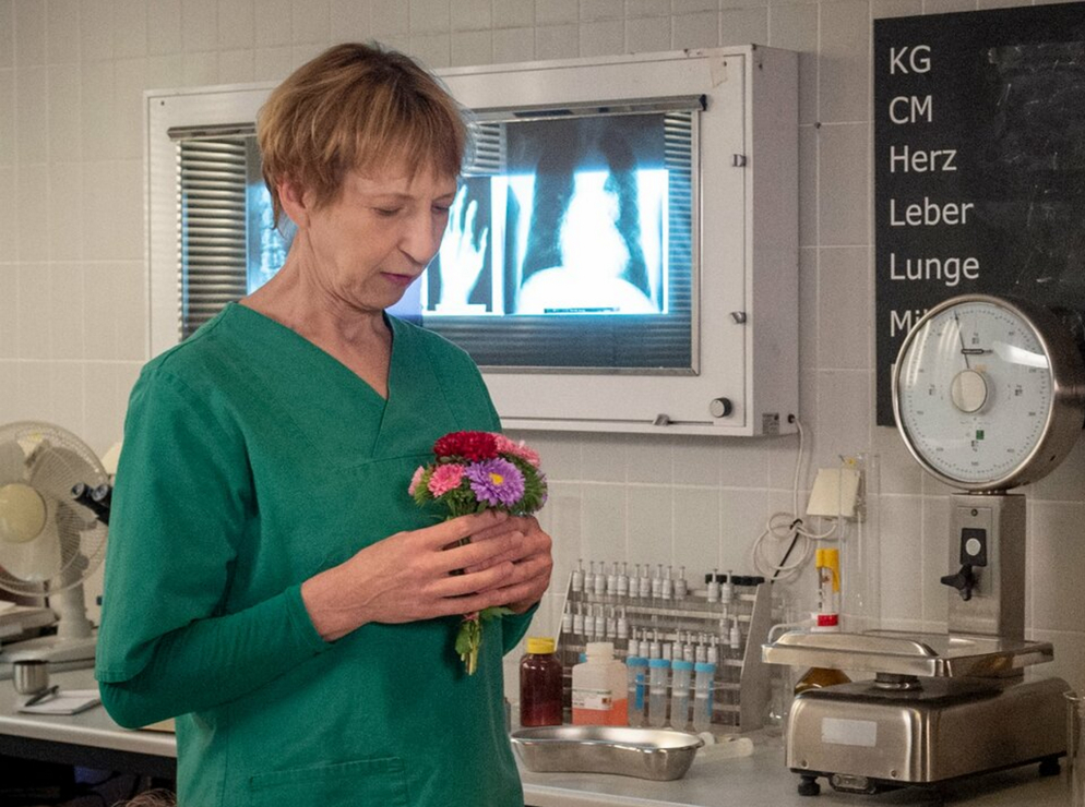 Picture of Asche zu Asche