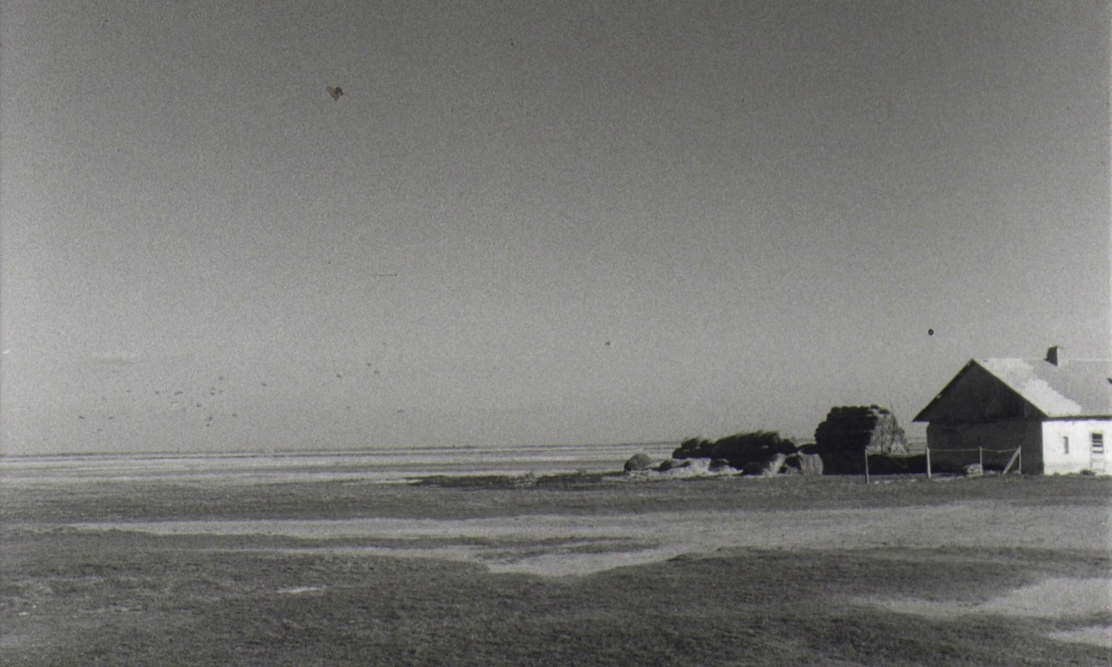 Picture of Wind (1996)