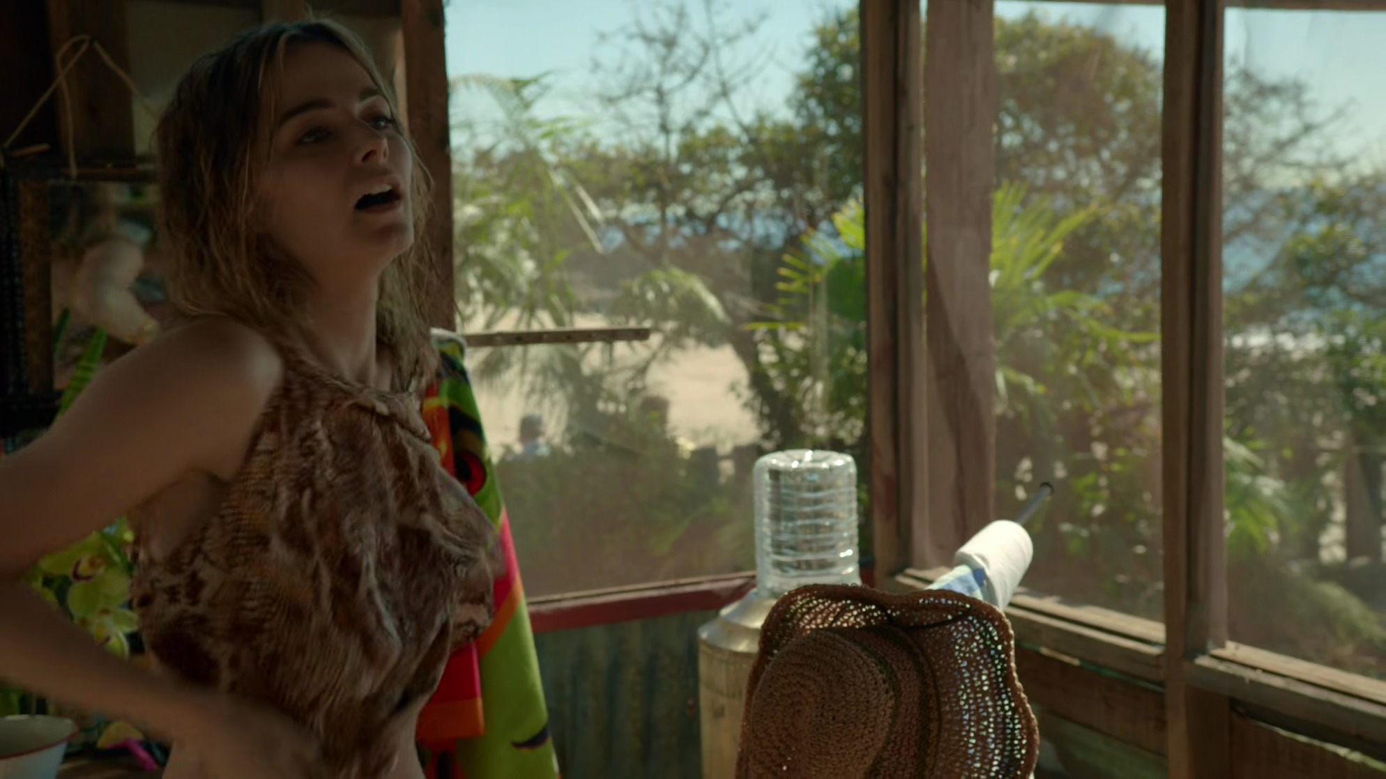 Picture of Shameless (US)