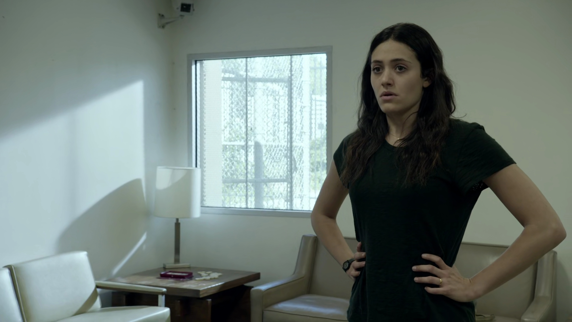 Picture of Shameless (US)