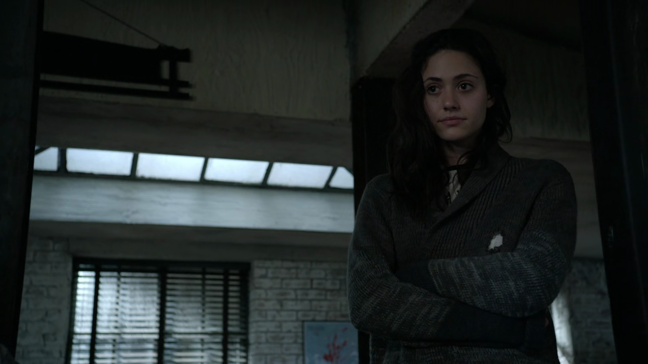 Picture of Shameless (US)