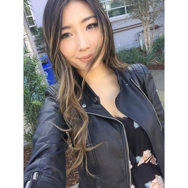 Picture of Choco Bars