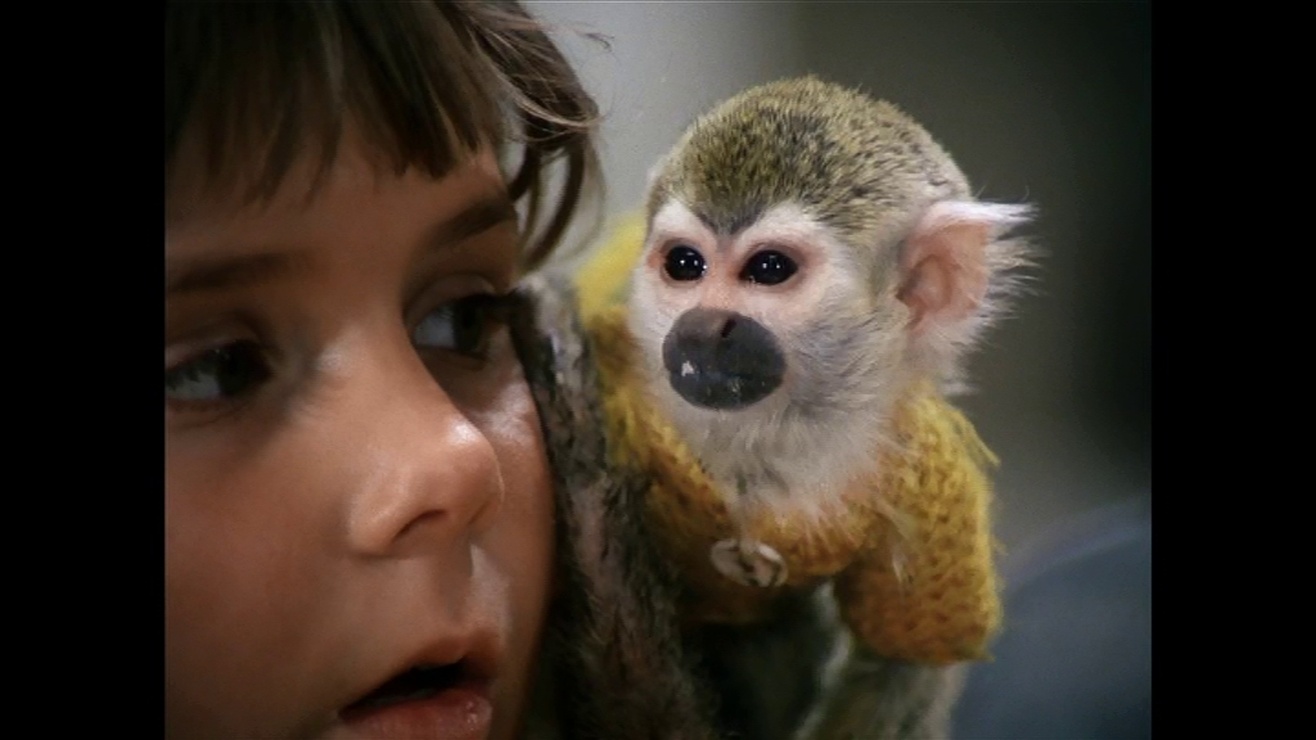 Image of Maria Persson