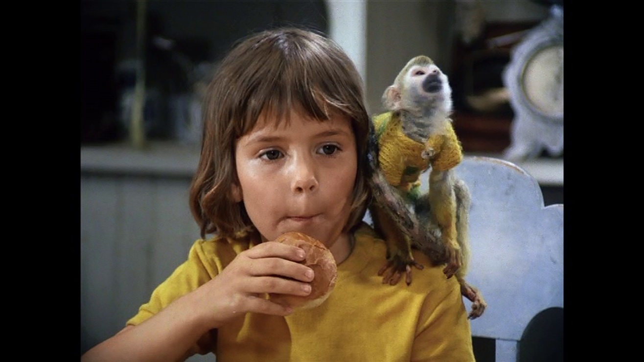 Maria Persson picture