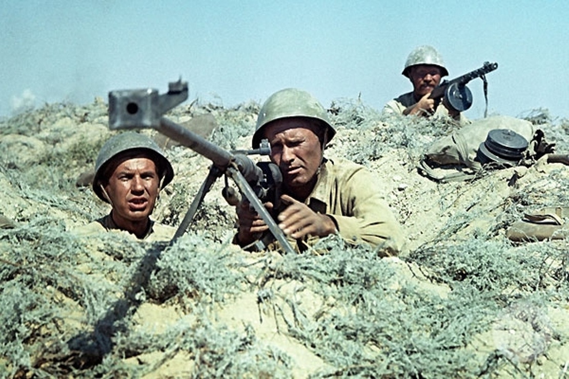 Picture of They Fought for Their Country