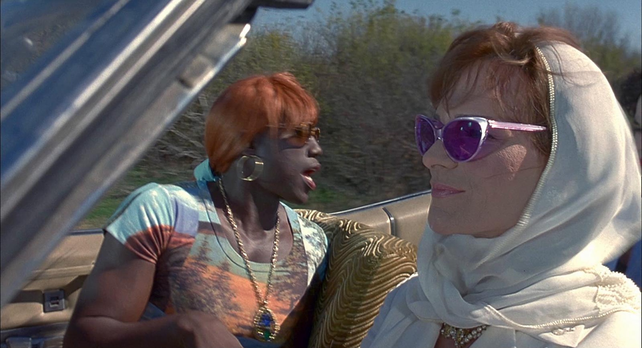 Picture of To Wong Foo, Thanks for Everything! Julie Newmar
