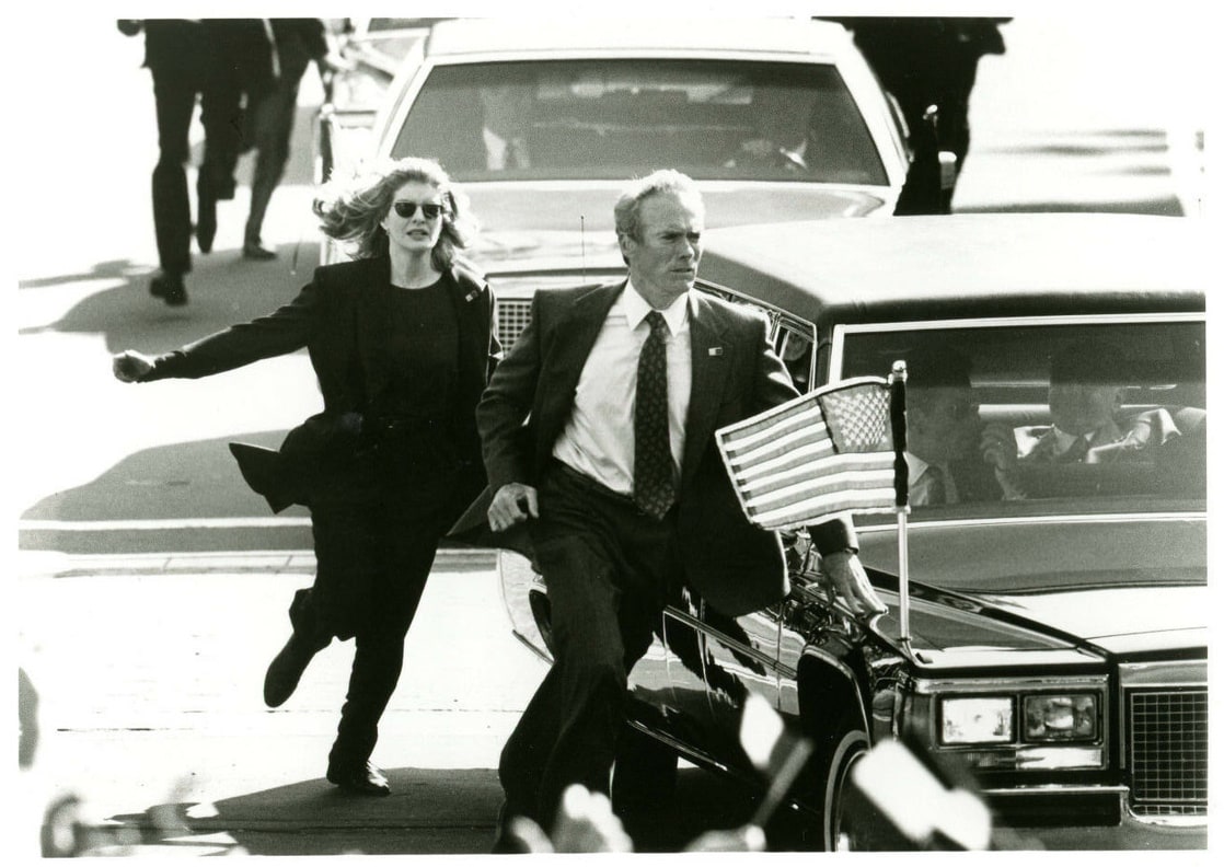 Picture of In the Line of Fire