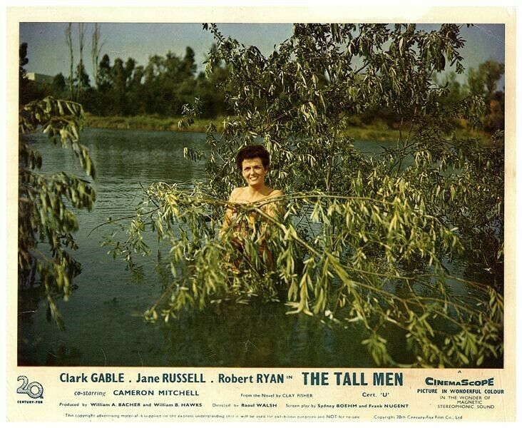 Picture of The Tall Men