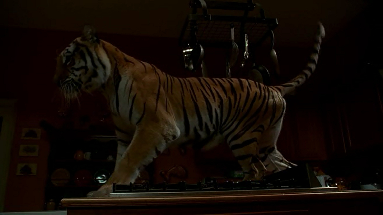 Picture of Burning Bright (2010)