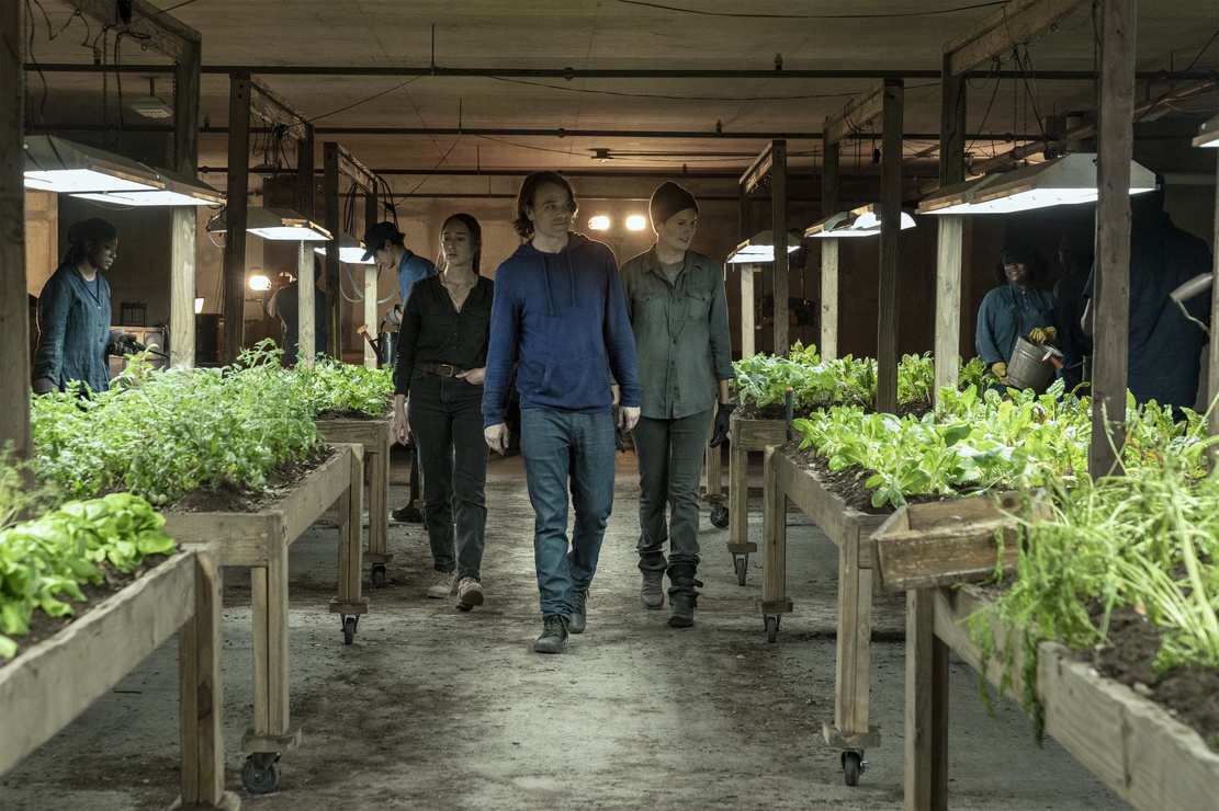 Picture of Alycia Debnam Carey