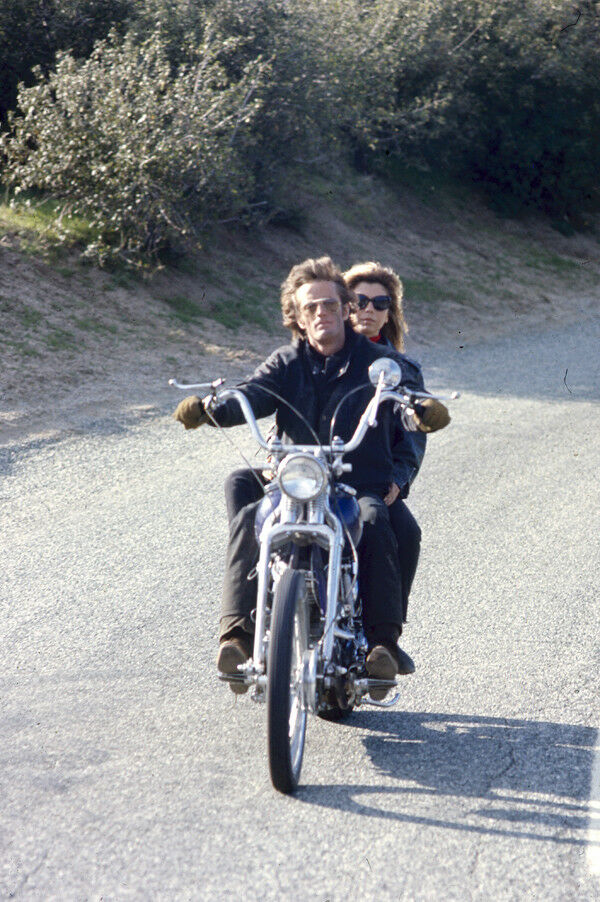The Wild Angels image