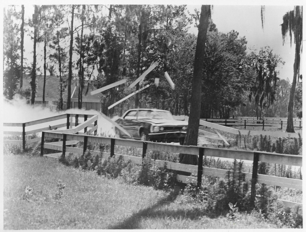 Picture of Fireball Jungle