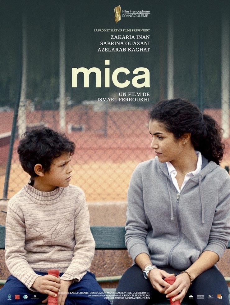 Picture of Mica