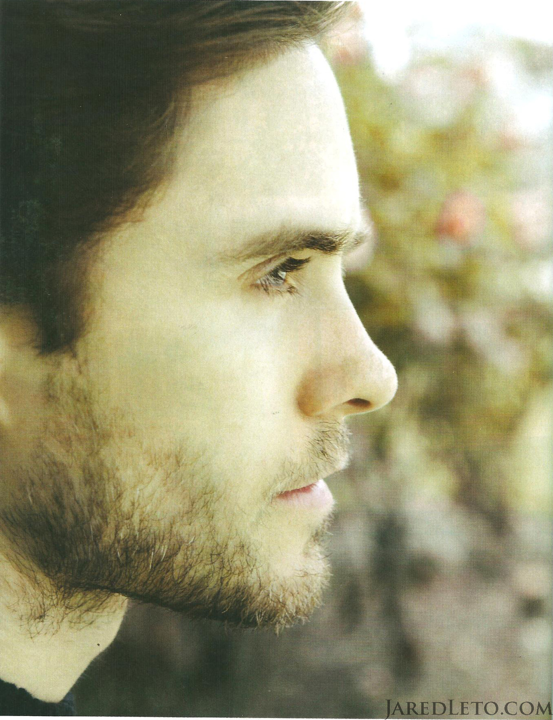 Picture of Jared Leto
