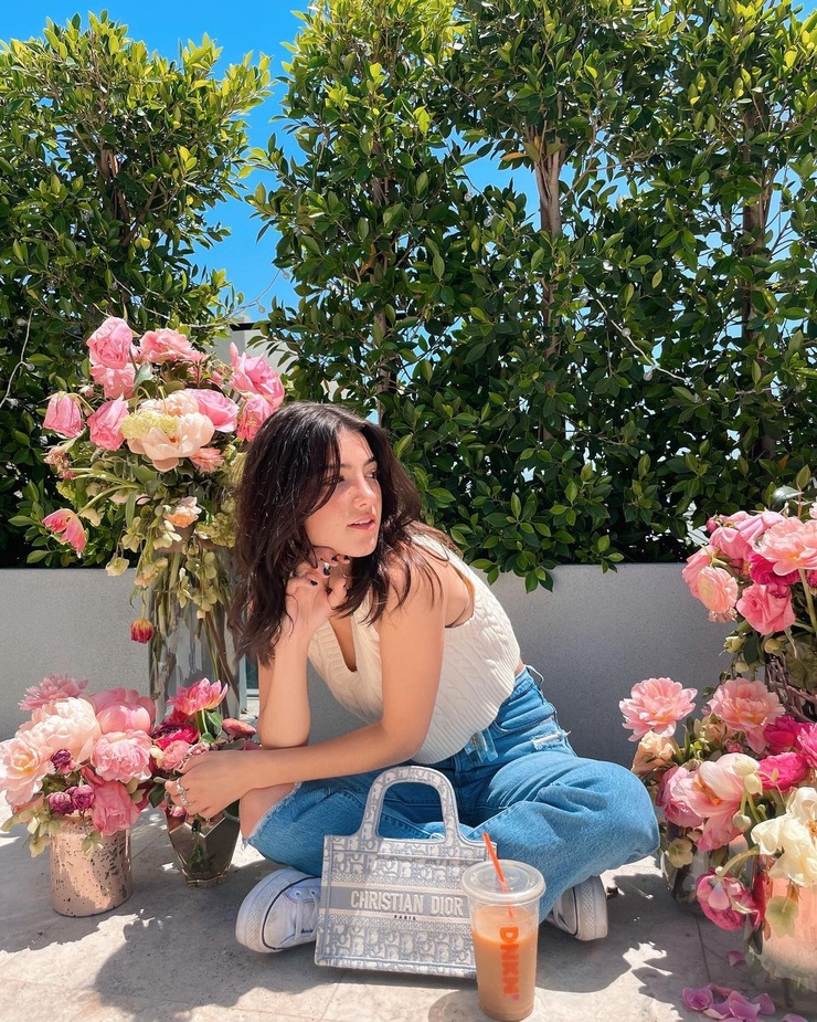 Picture of Charli D'Amelio