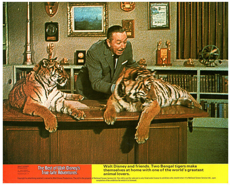 Picture of The Best of Walt Disney's True-Life Adventures