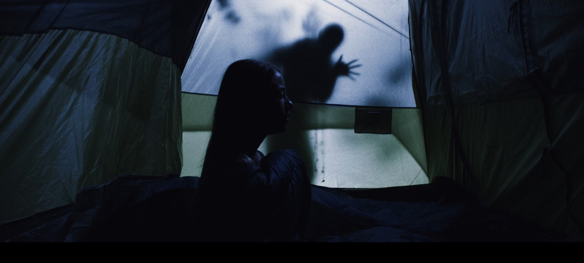 Picture of Wrong Turn