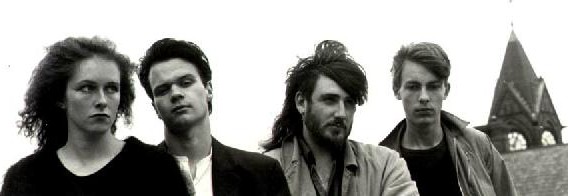 Picture of March Violets