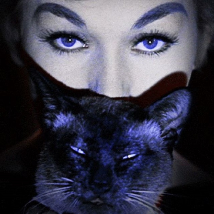 Kim Novak & Cat