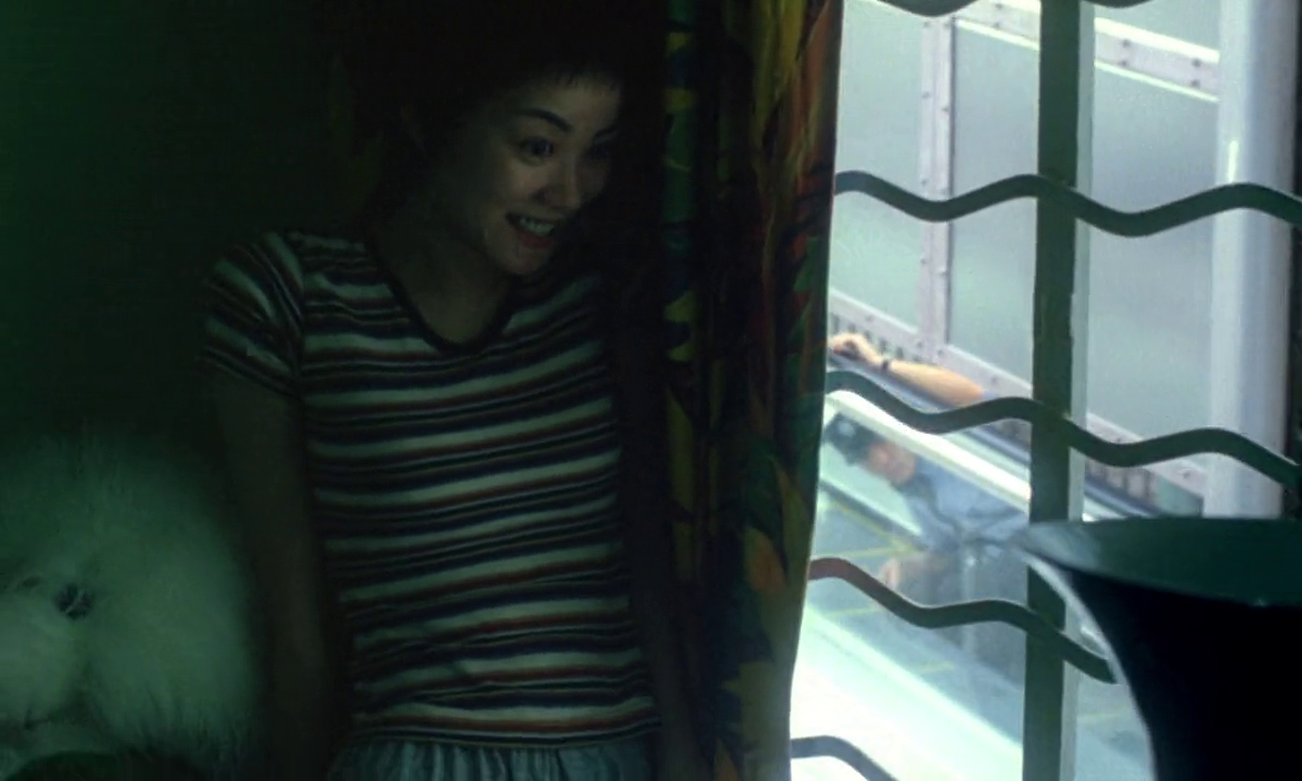 Picture of Chungking Express