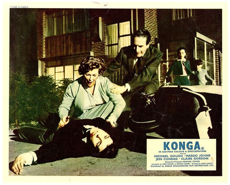 Picture of Konga