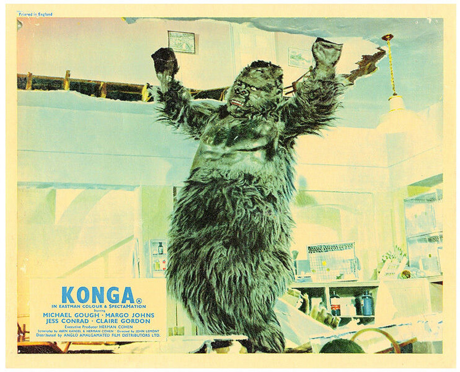 Picture of Konga
