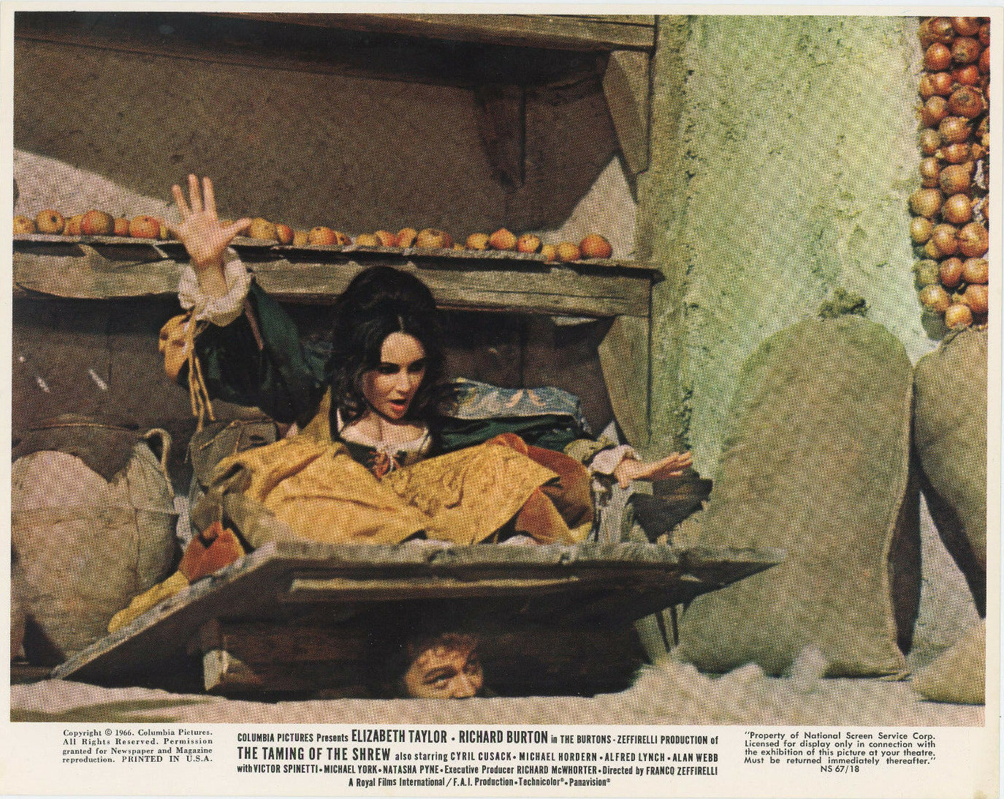 Image of The Taming of the Shrew