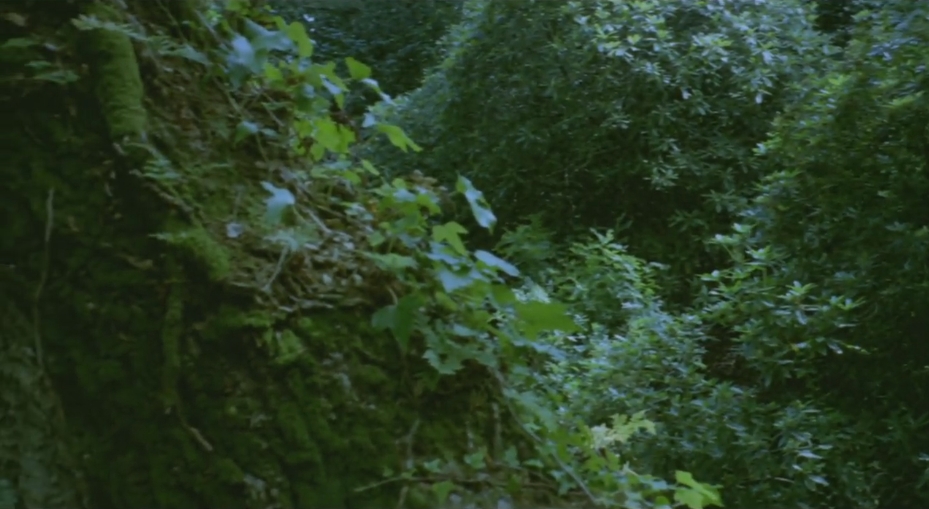 Image of Love Camp