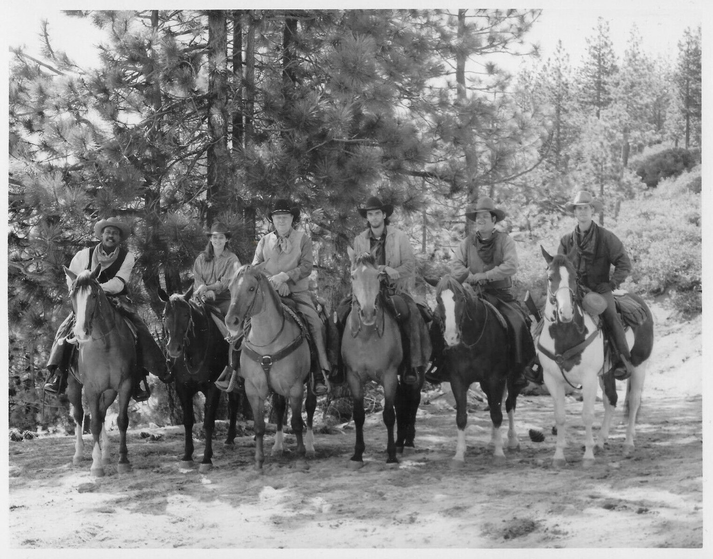 Picture of Bonanza: The Return