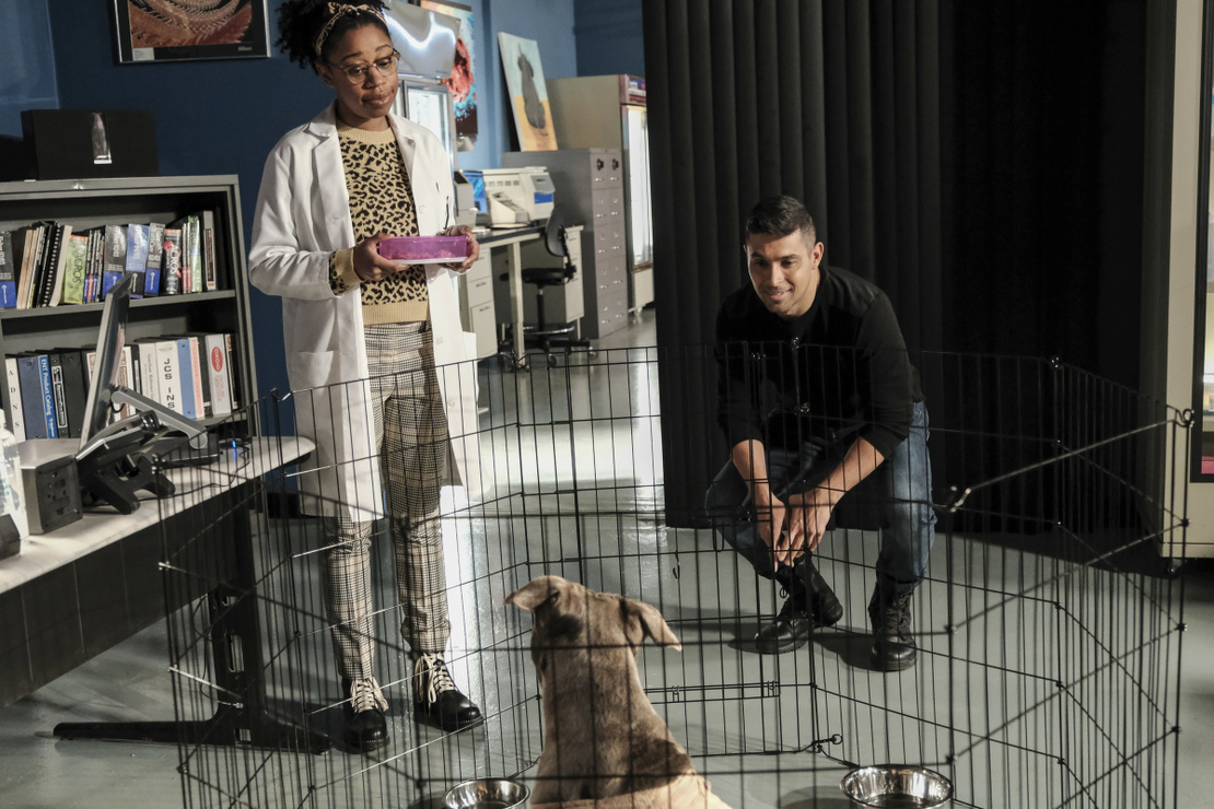 NCIS