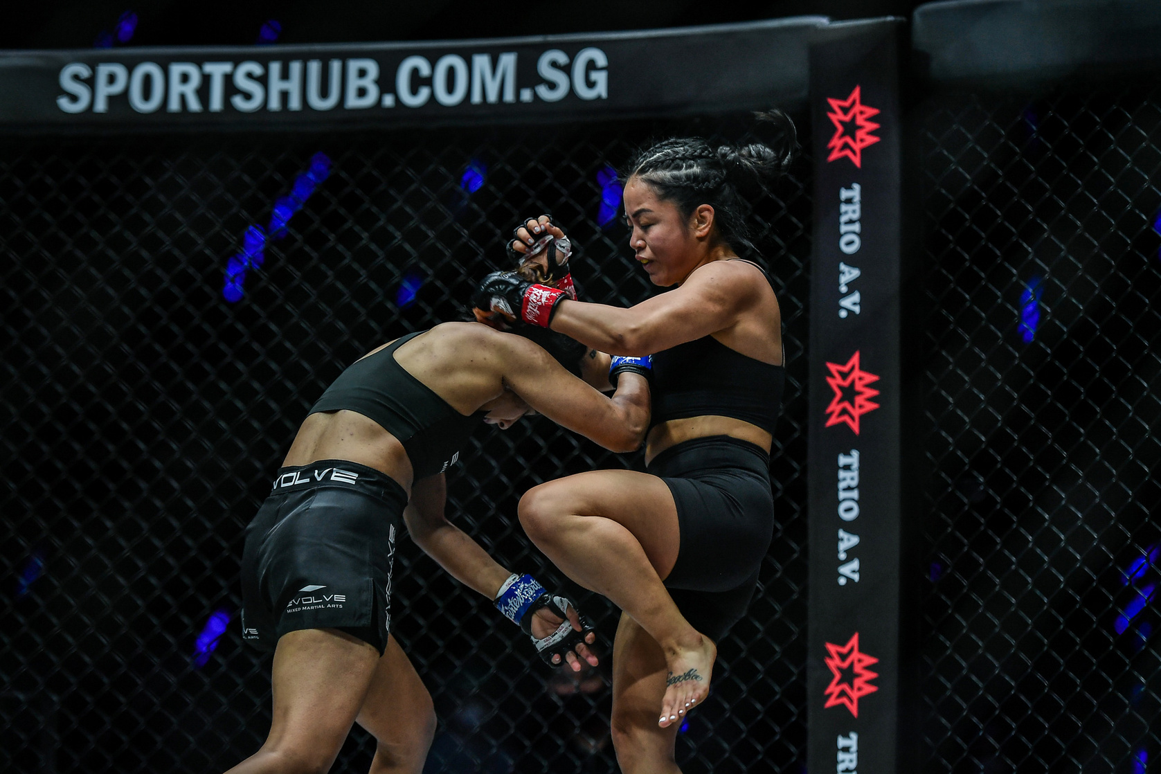 Picture of Bi Nguyen