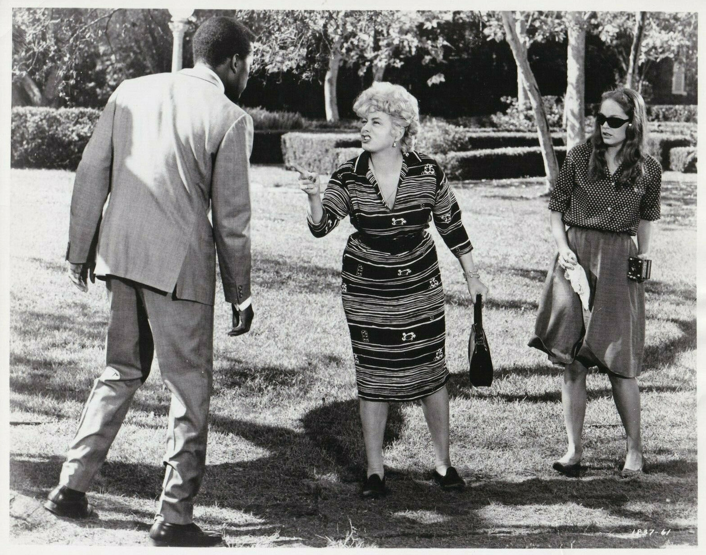 Picture of A Patch of Blue