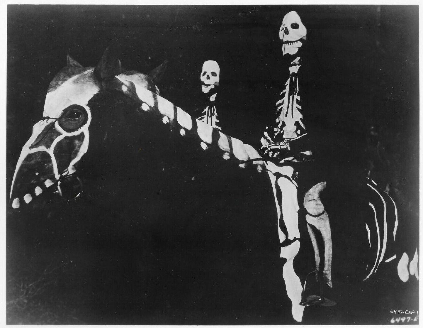 Night Creatures picture