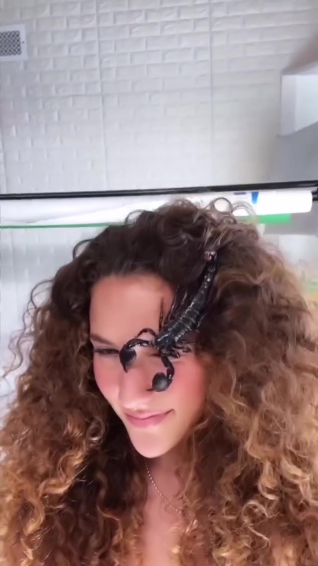 Sofie Dossi image