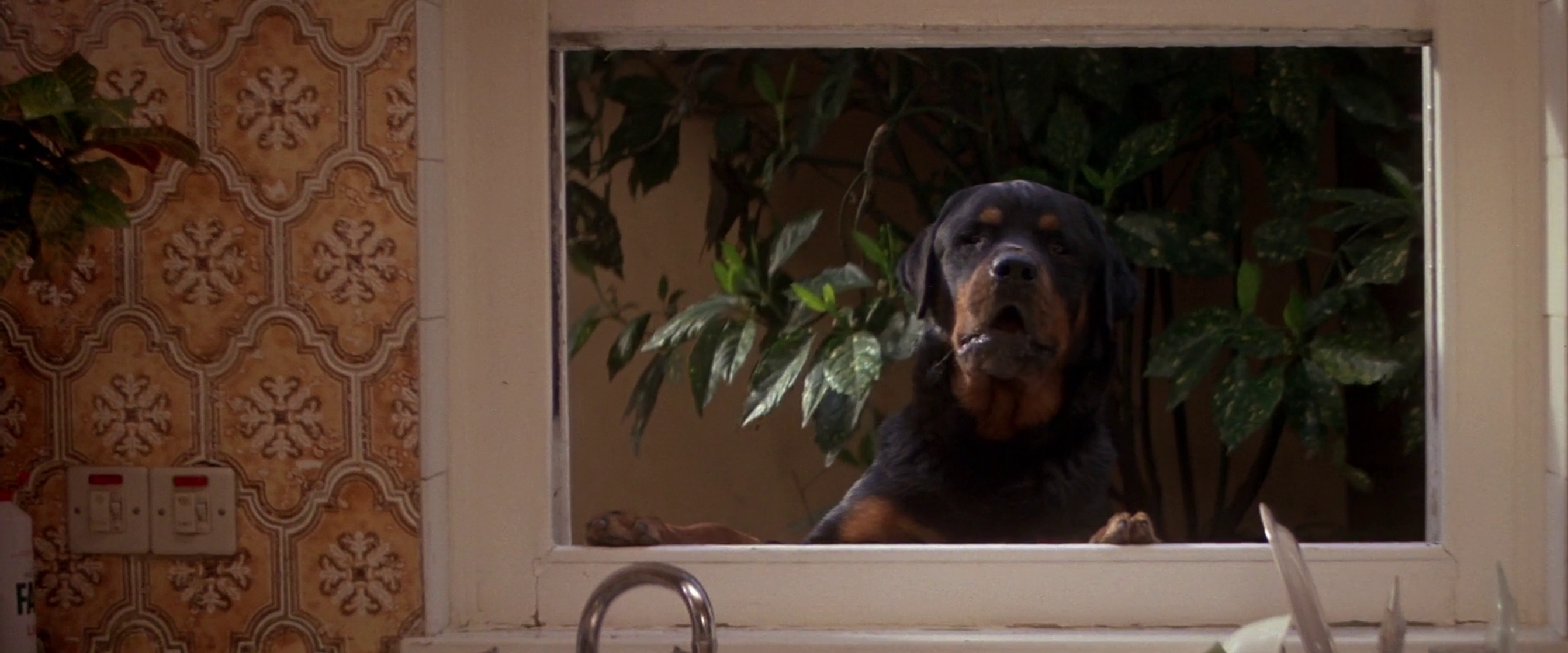 Picture of Omen III: The Final Conflict