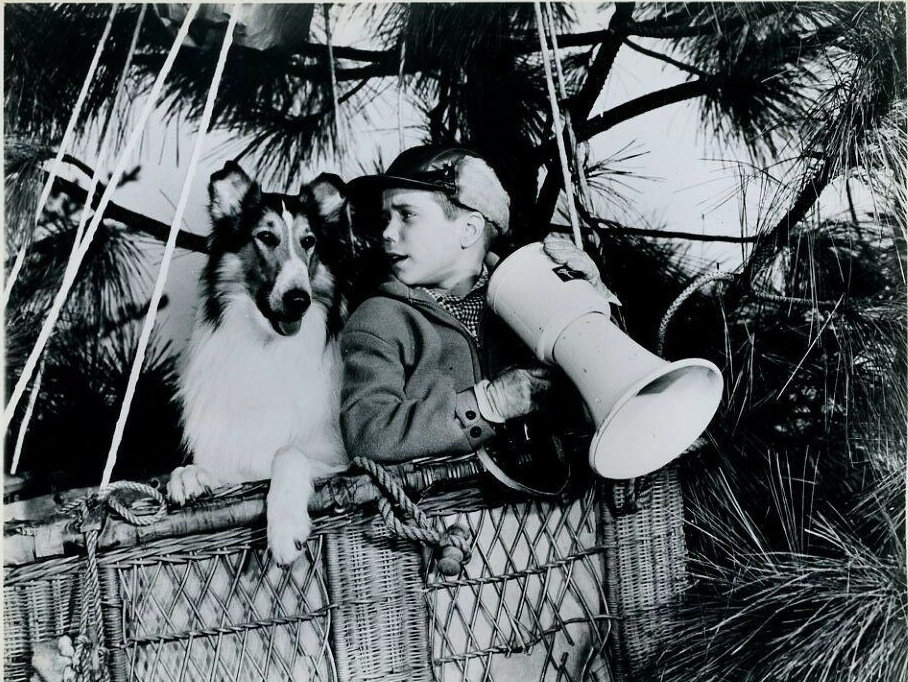 Lassie, Jon Provost