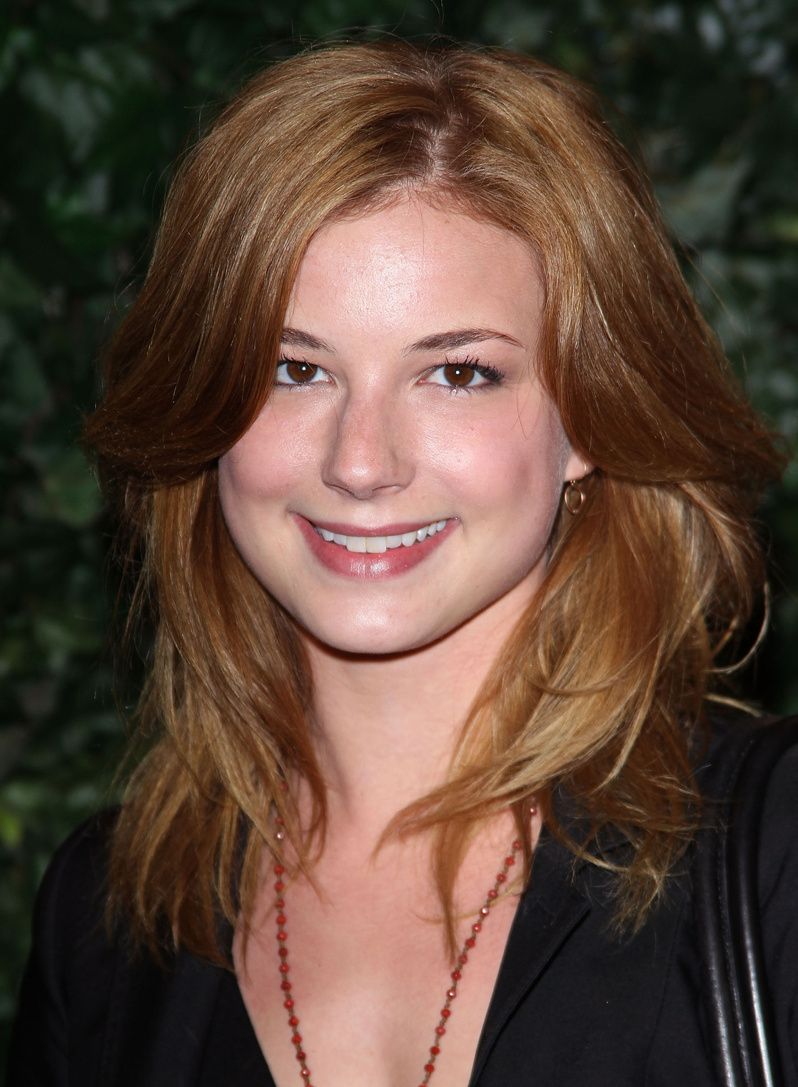 Picture of Emily VanCamp