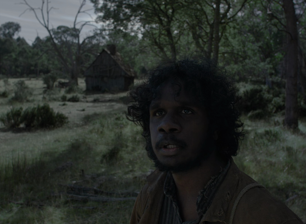 Picture of The Nightingale