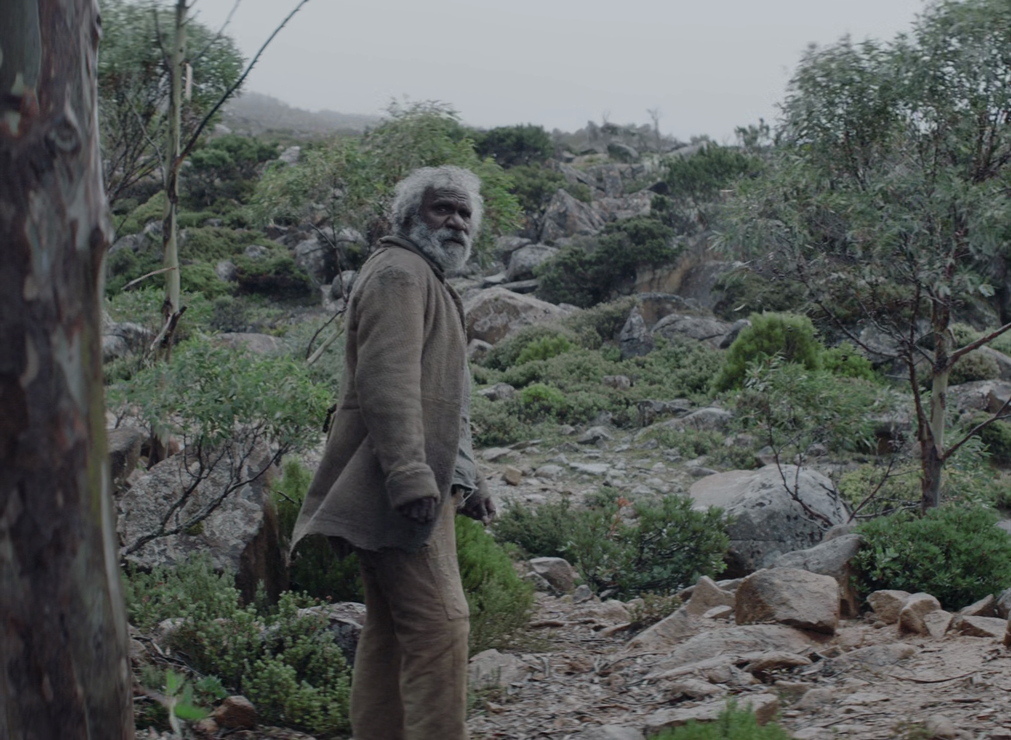 Picture of The Nightingale