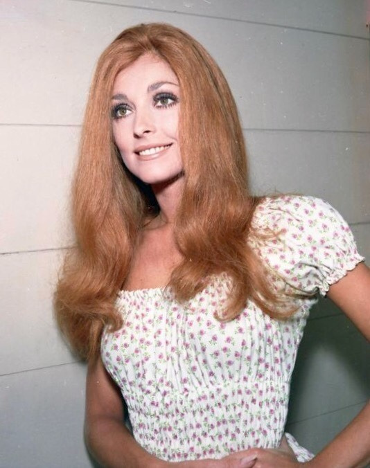 The Wrecking Crew (1968) image