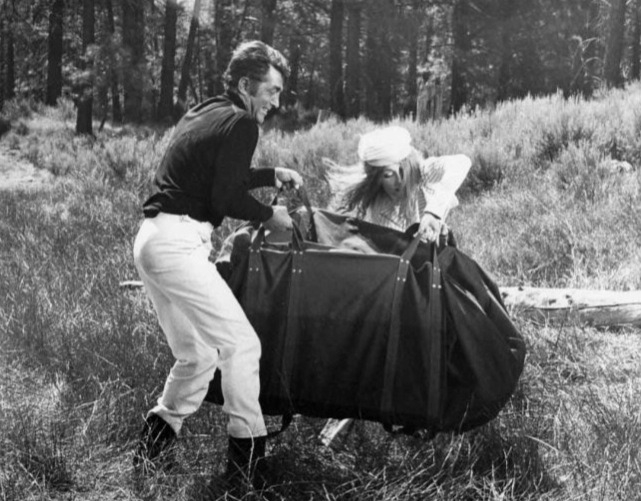 Picture of The Wrecking Crew (1968)