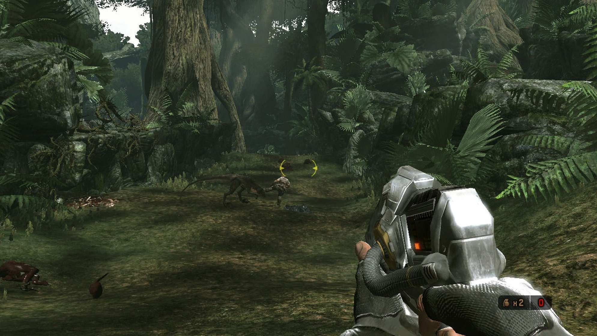 Turok picture
