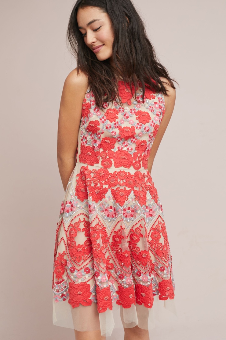 Picture of Brianna Akahoshi