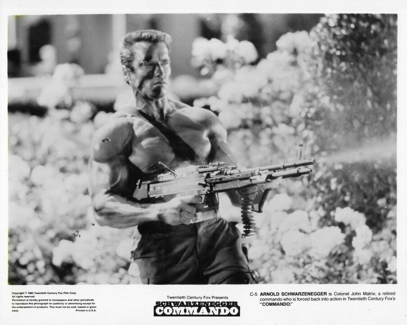 Picture of Commando