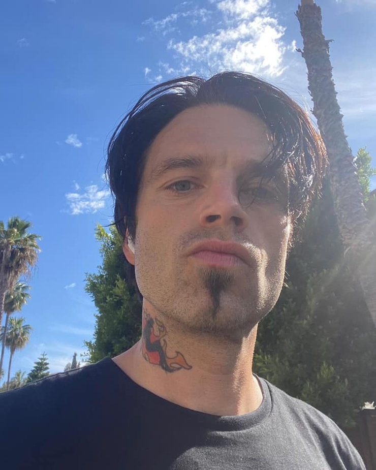 Picture of Sebastian Stan