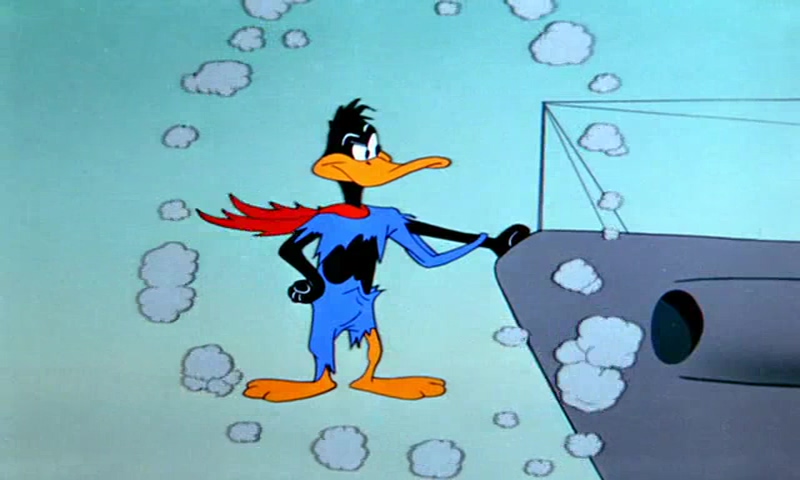 Picture of Stupor Duck