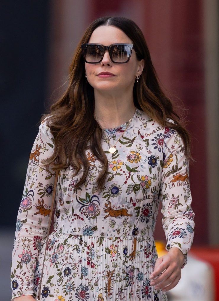 Picture of Sophia Bush