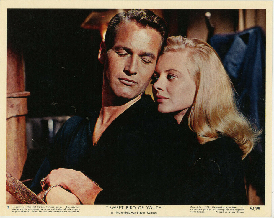 Picture of Sweet Bird of Youth