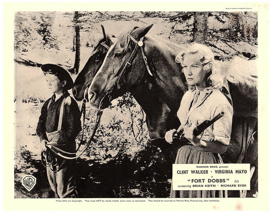 Picture of Fort Dobbs