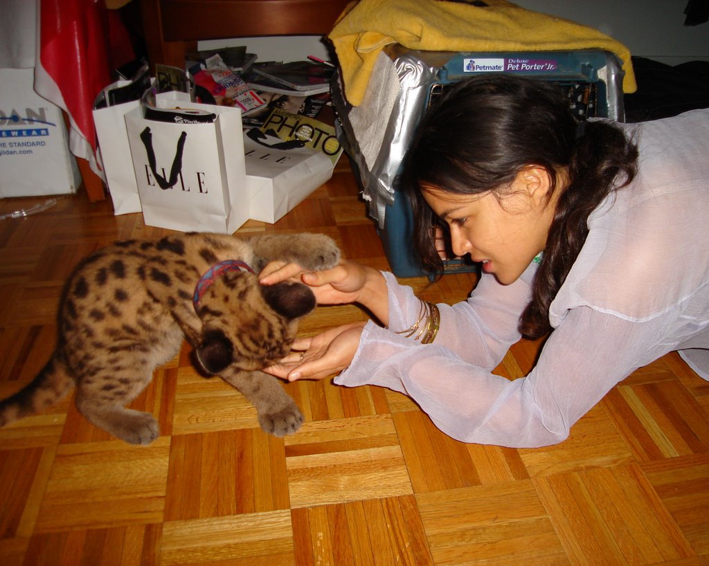 Picture of Michelle Rodriguez